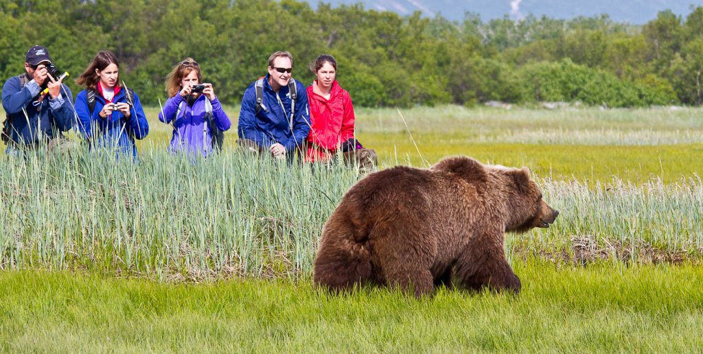 bear watchers - Land's End Resort